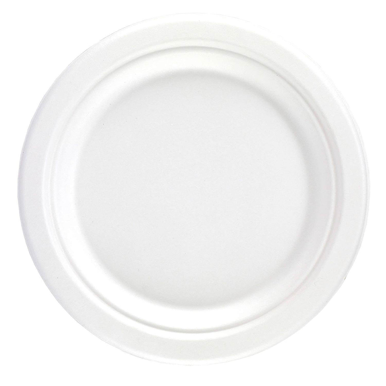 9" Disposable Bagasse Plates | 125 | Biodegradable – A1 Coffee